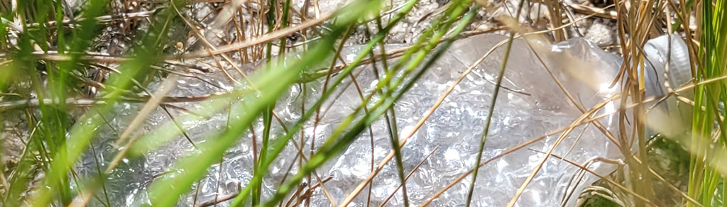 The Litter Problem | Ocean County Government
